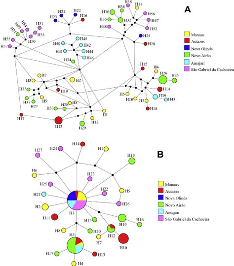 Minimum Haplotype Network Based On The COI A And Cytb B Loci For