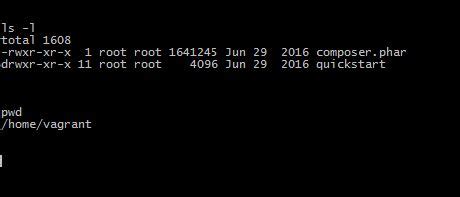 Linux Vagrant Ssh Doesn T Display Command Prompt Stack Overflow