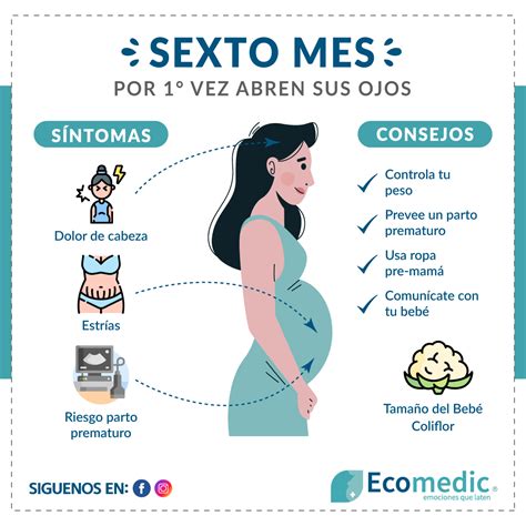 Ecomedic Sexto Mes Del Embarazo 😍🤰 📌 Durante El 6º Facebook