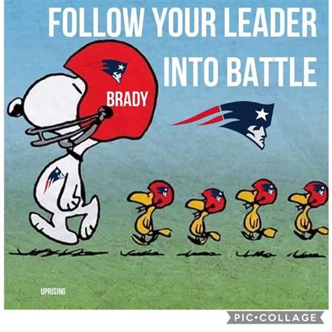 Football Season Nfl Football Patriots Memes Tampa Bay Buccaneers
