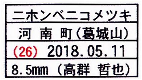 26 ニホンベニコメツキ 公式 石川流域生きものミュージアム雨ふる大地の水辺保全ネットワーク