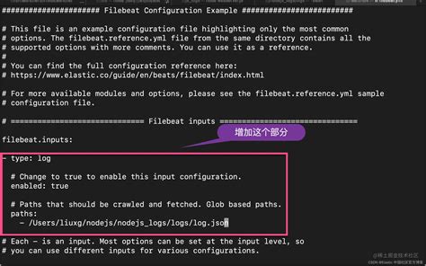 Elasticsearch使用 Filebeat 从 Node js Web 应用程序提取日志本指南演示了如何从 No 掘金