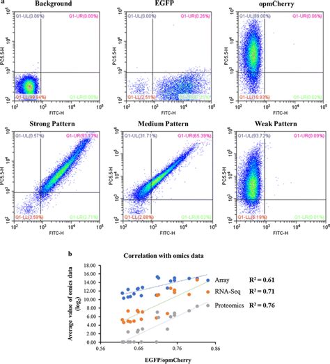 Flow Cytometry Fcm Patterns Of Different Promoters In Which The X