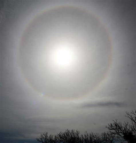Cirrostratus Cloud Appreciation Society