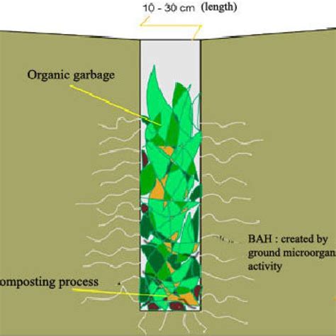 Bio Pore System 29 Download Scientific Diagram