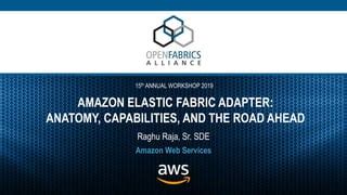 Amazon Elastic Fabric Adapter Anatomy Capabilities And The Road Ahead PDF
