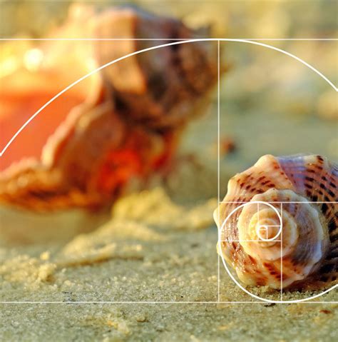 o que é a sequência de fibonacci super🛡 experimente a adrenalina das