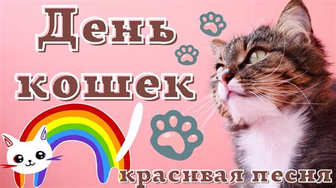 День Кошек Красивое поздравление с Международным Днем Кошек Видео открытка Youtube