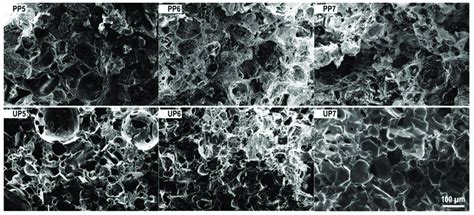 Ice Cream Structure By Scanning Electron Microscopy Ice Cream Samples