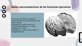 Funciones Ejecutivas Neurociencias Carrera Psicopedagogia Pptx