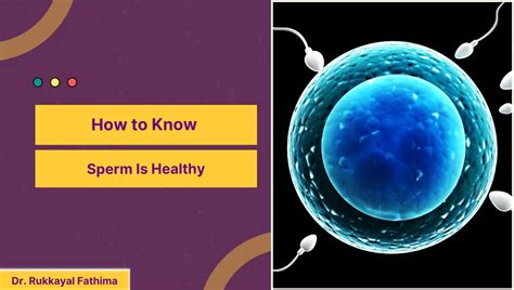 How To Know Sperm Is Healthy Dr Rukkayal Fathima