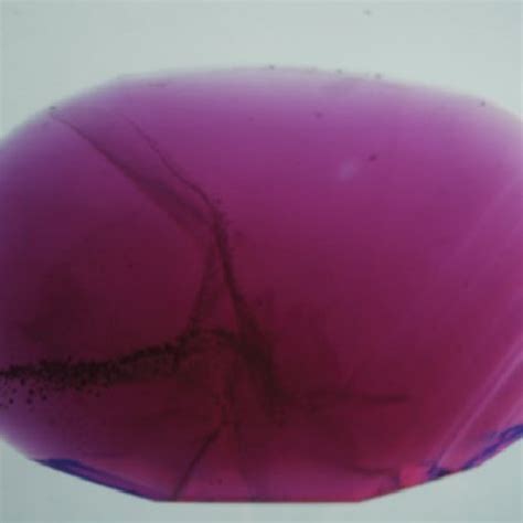 A Solid White Inclusion With An Associated Fingerprint Resembling A