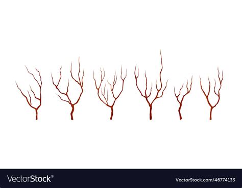 Bare Tree Branches Without Leaves Or Flowers Vector Image