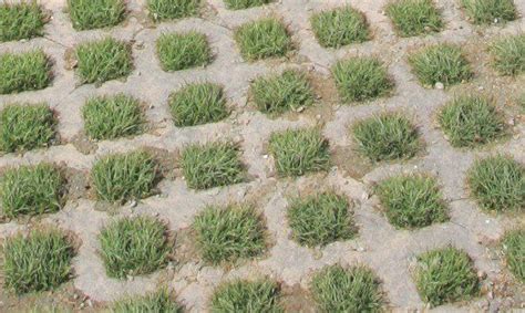 Unilock Closeup Of Turfstone Permeable Paver With Grass Paver