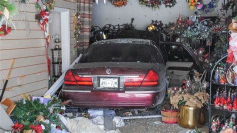 Lawmaker Drives Car Into Flower Shop Blames Dog