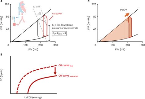 Impact Of Venoarterial Extracorporeal Membrane Oxygenation On