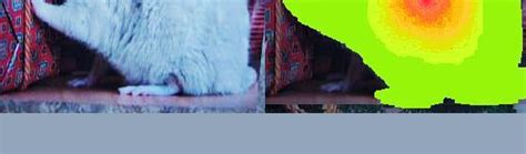 The Proposed Image Of Temperature Gradient At Cancer And Inflammation