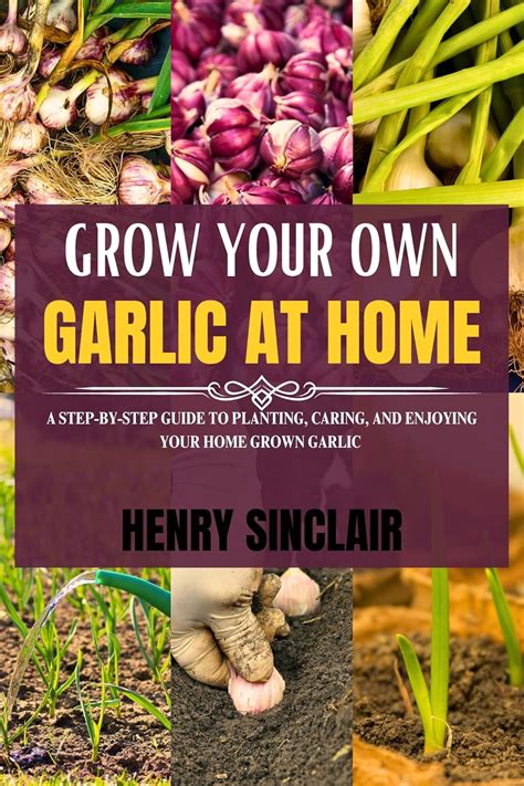 Grow Your Own Garlic At Home A Step By Step Guide To Planting Caring