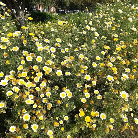 Md Moinul Hasan Posted On Linkedin