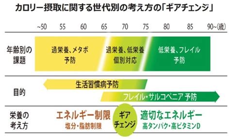 メタボ メタボ Japanese English Dictionary Japaneseclassjp