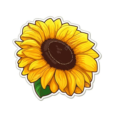 Sunflower Clipart Realistic Sunflower Realistic Sunflower Clipart Png