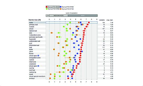 Tissue Specific Expression Pattern Of Genes Within Major Root Length