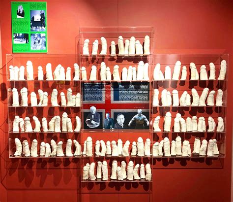 The Icelandic Phallological Museum Reykjavík Iceland — The Dark