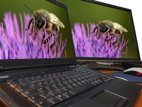 Displayport-Splitter: Tipps und Preise