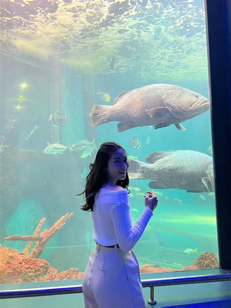 Aquarium ไปดูปลากันไหม 🌊🐋🐠 แกลเลอรีที่โพสต์โดย Por Kewalin Lemon8