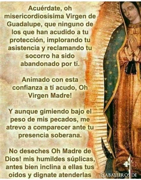 Virgen Oraciones Religiosas Oraciones Catolicas Oraciones