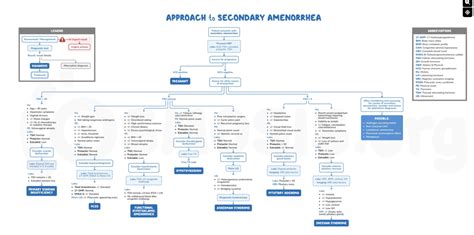 Secondary Amenorrhea Ddx Diagram Quizlet