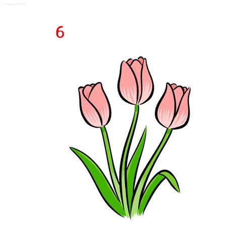 Tulpe Zeichnen Schritt Für Schritt Anleitung Mit Bildern Tulpe Malen