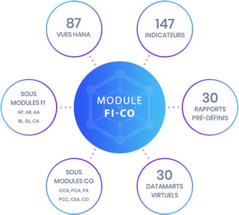 SAP FI CO présentation des modules FI et CO de l ERP SAP