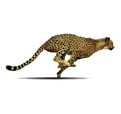 Drawing And Illustration Digital Leopard Png File Art And Collectibles Etna