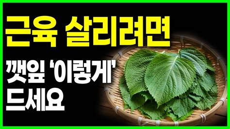 아프기 싪다면 깻잎 이렇게 먹었더니 온몸 근육 살아났다 깻잎과 함께 먹으면 보약인 음식 상극인 음식 깻잎의 효능과 부작용 나이들수록 대박집 깻잎장아찌 건강정보