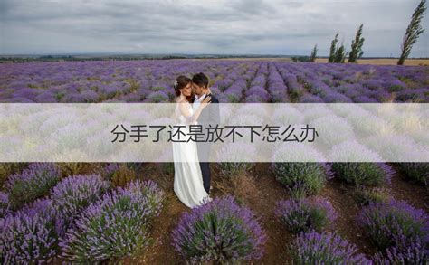 分手了还是放不下怎么办【接亲网】