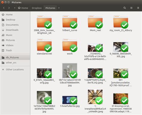 Ubuntu How To Stop Showing The Dropbox Green Checkmarks Across Every