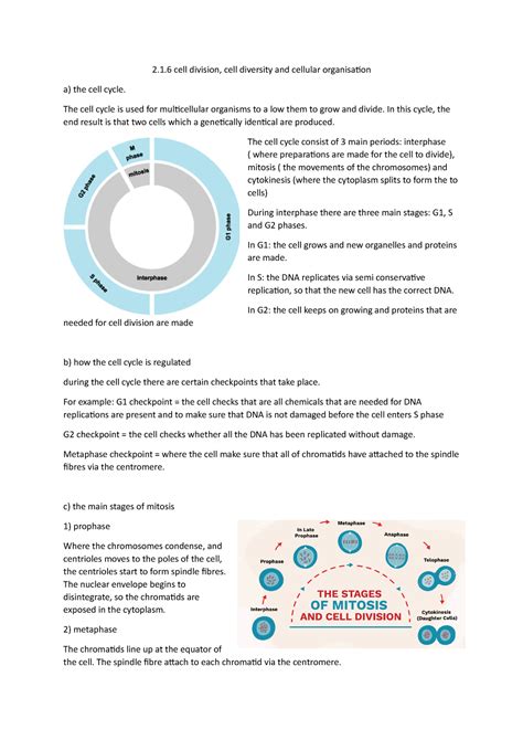 Biology Notes For Cells Divison 21 Cell Division Cell Diversity And