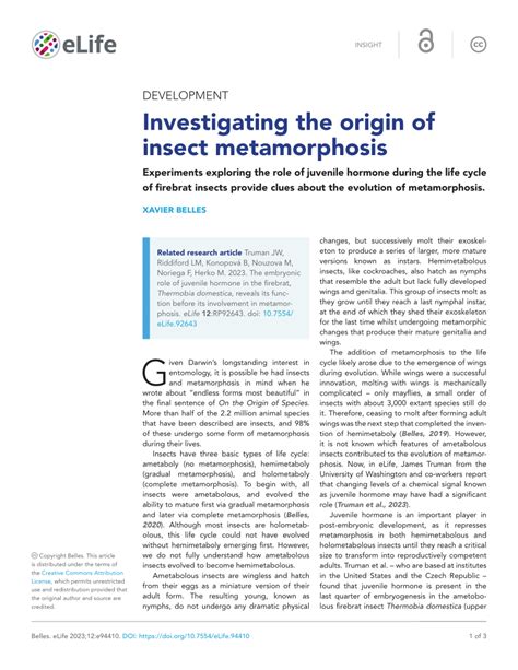 Pdf Investigating The Origin Of Insect Metamorphosis