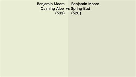 Benjamin Moore Calming Aloe Vs Spring Bud Side By Side Comparison