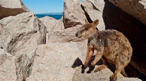 Hidden Hikes Australias Best Underrated Off Road Treks As Suggested