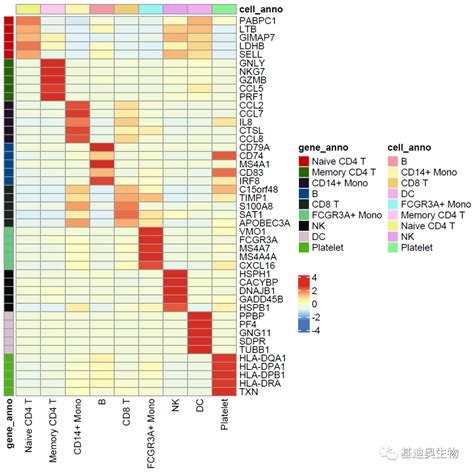 如何绘制好看的目标基因表达分布热图？分享两种画法！nat绘图注释