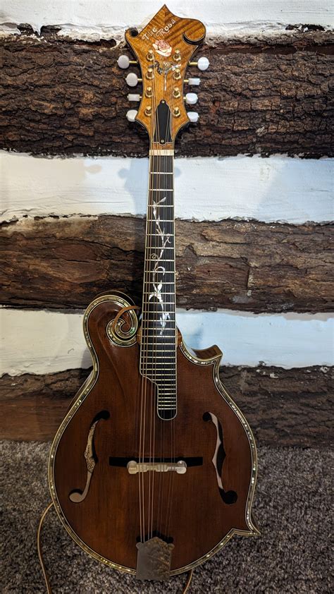Randy Allen Rsw Mandolin For Sale Rosa String Works