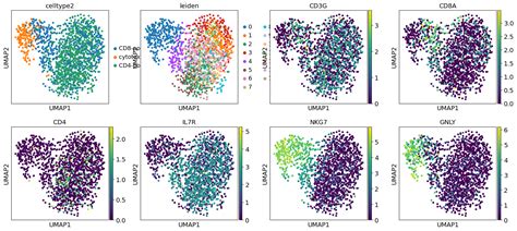 Notebook 2 Celltype Annotation And Beyond — Besca 24 Documentation