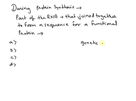Solved During Protein Synthesis What Part Of Rna Is Joined Together To Form A Sequence For A