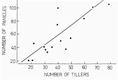 Figure 2 From Effect Of Plant Size On The Number Of Caryopses In