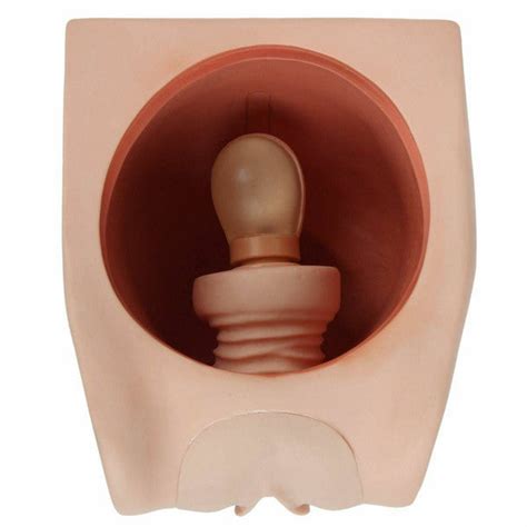 Female Contraception Trainer Sex Education Training Anatomystuff
