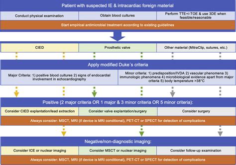Possible Diagnostic Algorithm For Patients With Suspected Ie And