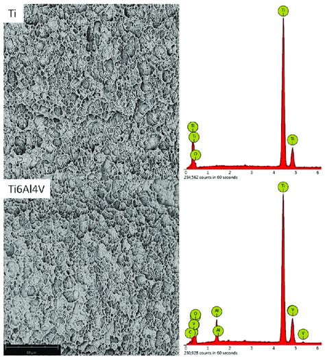 The Sem Scanning Electron Microscope Images And Edx Download Scientific Diagram