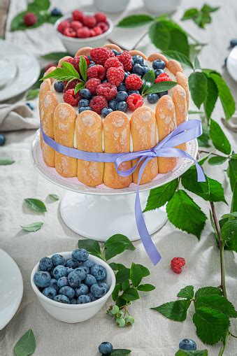 여름 정원에서 블루베리와 라즈베리를 곁들인 맛있는 여름 디저트 0명에 대한 스톡 사진 및 기타 이미지 0명 개체 그룹 꽃